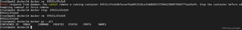 docker基本用法总结 docker用法 csdn博客