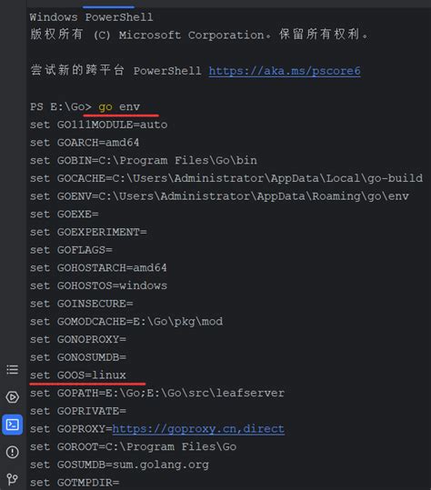 windows系统使用终端和goland编辑器打包golang程序方法 第一夫人 博客园
