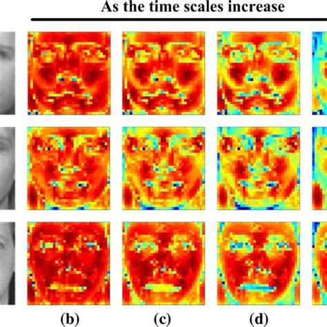 illustration of the multiscale heat kernel structural information download scientific diagram