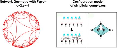 schematic representation of the two classes of simplicial complexes download scientific diagram