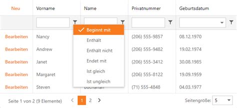 localization asp mvc extensions devexpress documentation