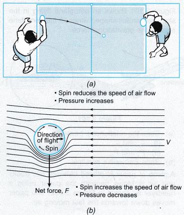Understanding Bernoullis Principle CBSE Library