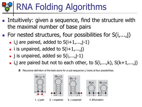 ppt rna folding powerpoint presentation free download id 4632376