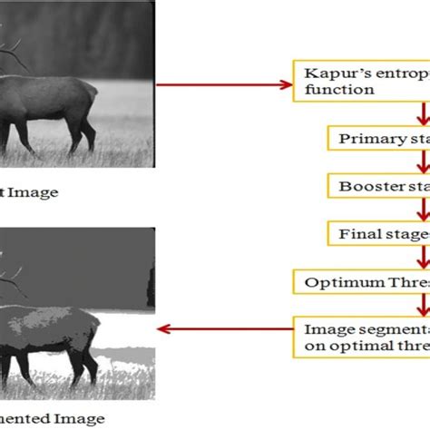 block diagram for multistage hybrid optimization based image segmentation download scientific
