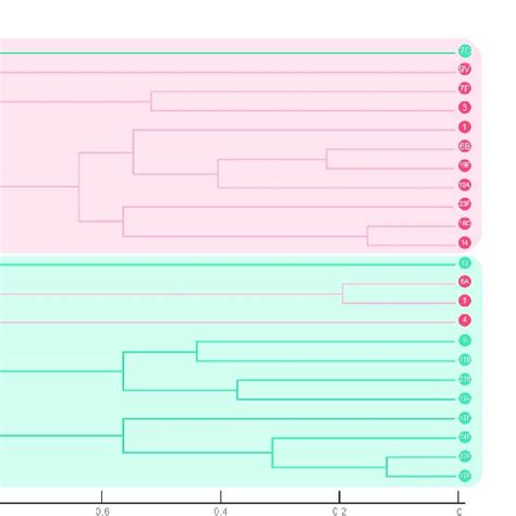 Dendrogram Corresponding To Unsupervised Hierarchical Clustering