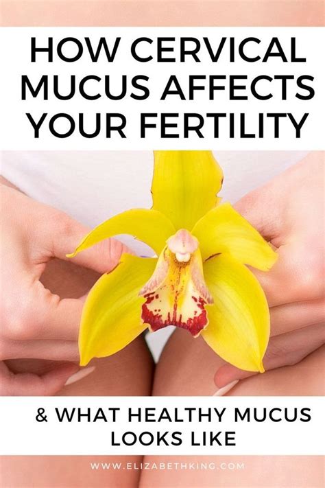 Getting Pregnant After Birth Control Ultimate Fertility Guide Artofit