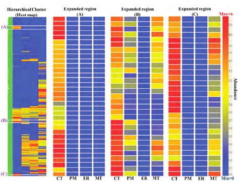 Hierarchical Clustering And Heat Map Across The Four Fractions