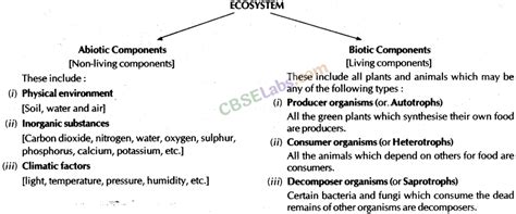Our Environment Class 10 Notes Science Chapter 15 Learn CBSE