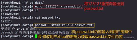 shell脚本——编程规范与echo命令 shell echo csdn博客