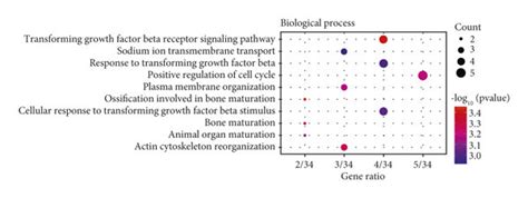 Functional Annotation And Pathway Enrichment Analysis Of The Target