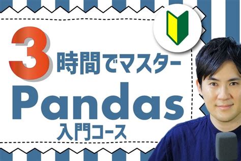 pythonの便利ライブラリ「pandas入門講座」合併版｜pandasの基本的なこと3時間で学べます【python超入門コースの次におすすめの入門講座】 procode