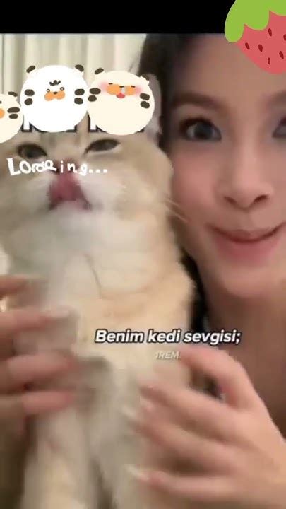 Benim Kedi Sevgisi Youtube
