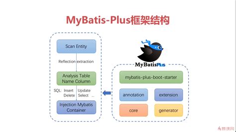 mybatis plus入门 码农家园