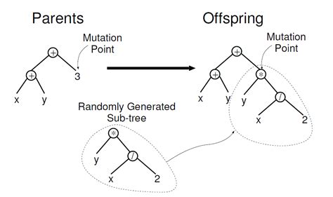 【遗传编程 基因规划】genetic programming初学者笔记：基本概念与过程 genetic programming评价指标 csdn博客