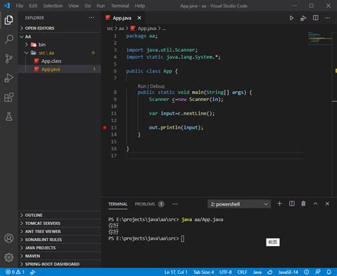 vscode java终端无法输入中文 csdn社区