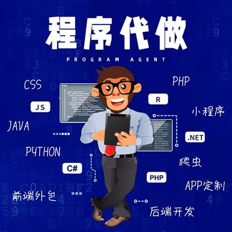 java代码编写计算机程序php设计python代编程c 开发c 代做c语言r 虎窝淘