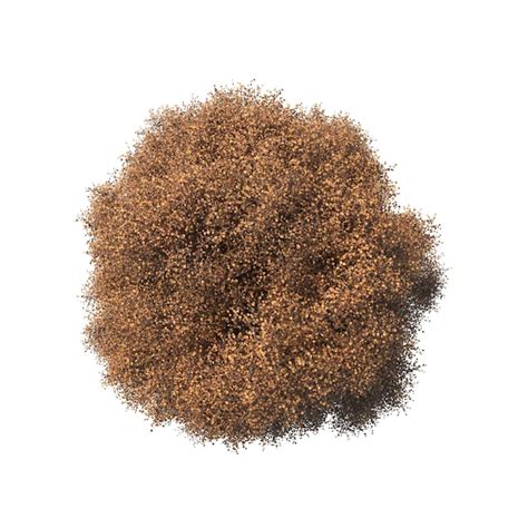 Premium Photo Trees Top View Isolated On White Background