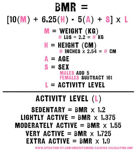 Understanding Calories Calculating Your BMR Operation Fit