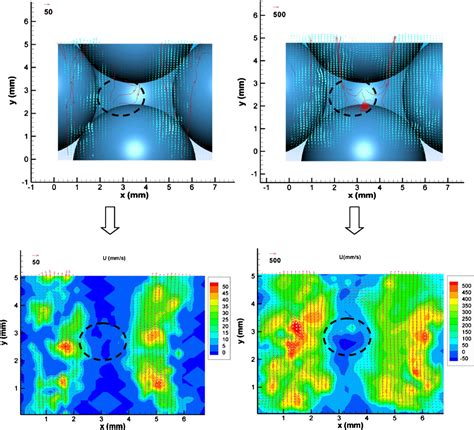 Figure 6 From Flow Visualization In A Pebble Bed Reactor Experiment