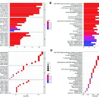 GO And KEGG Functional Annotation Pathway Enrichments The Barplot