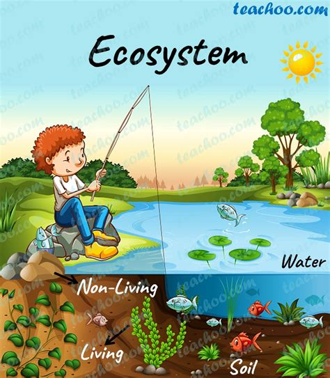 Diagram Eco System And Biosphere Types Of Ecosystem With Nat