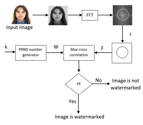 fourier watermark detection scheme download scientific diagram