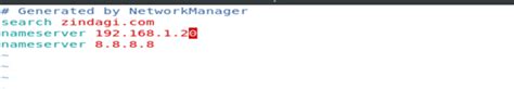 How To Configure DNS Server In Linux OS In 9 Simple Steps Zindagi