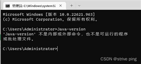 win11安装 java jdk8 java jdk8u131安装widows11 csdn博客