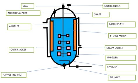 Draw A Neat Labelled Diagram If Dry Cell Brainly In Riset