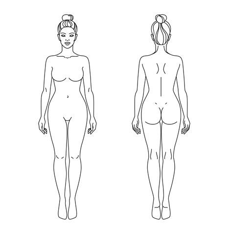 Woman Body Front And Back View Vector Illustration Isolated Outline