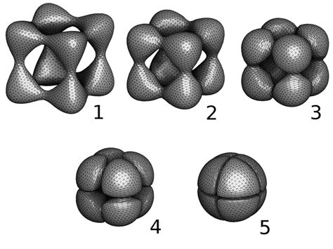 towards efficient numerical optimal transport