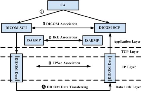 4 the data flow of tcp ipv6 based dicom c store communication with download scientific diagram