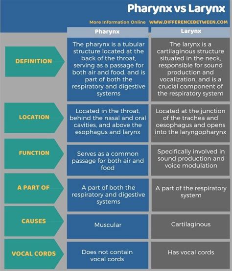Pharynx Vs Larynx Tabular Form
