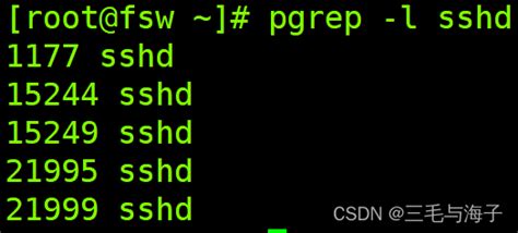 linux 查看进程 ps 命令 详解 ps查看进程号 csdn博客