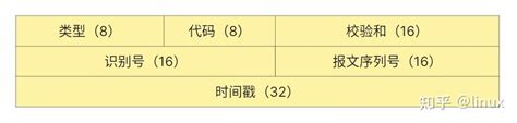 linux网络编程：图文详解网络协议之原始套接字 知乎