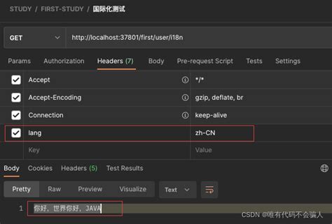springboot实现i18n国际化配置（超详细之跟着走就会系列） springboot i18n csdn博客