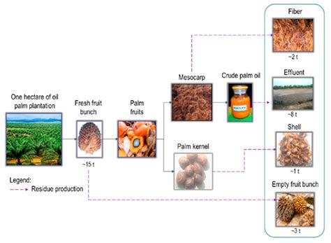 Processes Free Full Text A Graph Based Dynamic Modeling For Palm