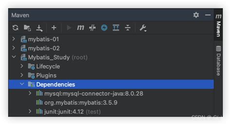 mybatis入门与实践全总结 mybatis入门实验报告 csdn博客