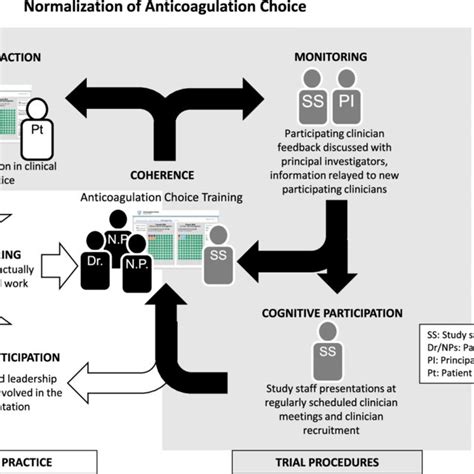 domains of normalization process theory download scientific diagram