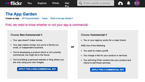 How To Use Flickr API With Python Example JC Chouinard