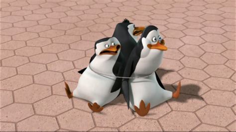 Lol Kowalski Xd Penguins Of Madagascar Photo 24992742 Fanpop