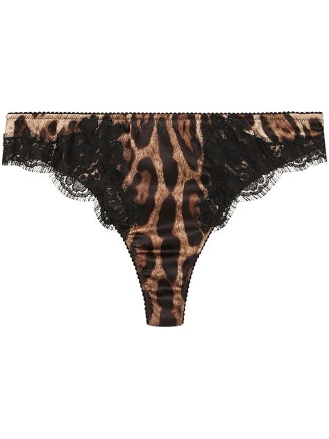 Dolce And Gabbana Leopard Print Lace Trim Thong Brown Farfetch