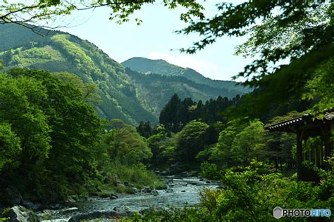 爽快な御岳渓谷の新緑浴 by カニサガ ID10395074 写真共有サイト PHOTOHITO
