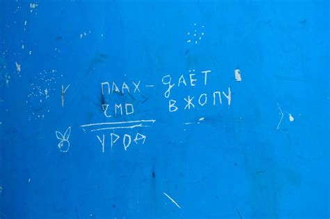 Плах дает в жопу