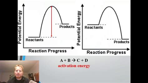 Reaction Coordinate Diagrams YouTube