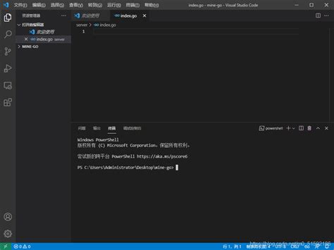 技能学习：学习使用golang（gin框架） vue js，开发前端全栈网站 2 启动项目 go vue 开发实战 csdn博客
