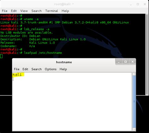 kali linux how to use hosts file arry