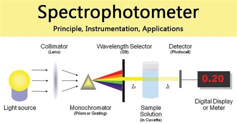 Schematic Diagram Of Uv Visible Spectroscopy