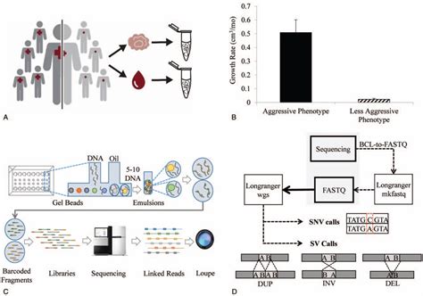 linked read sequencing analysis reveals tumor specific genom otology and neurotology