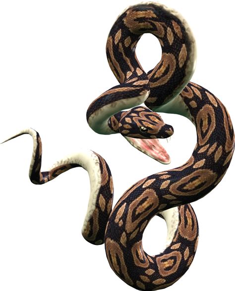 Python Png